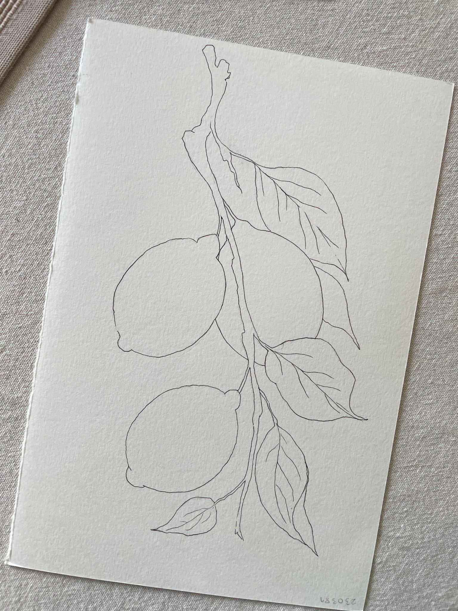 Sketches During a Week Away – art by fari